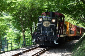 【京都】嵐山観光の「半日コース」！朝の竹林散策やライトアップなど時間ごとに楽しめる＜2025＞ ｜じゃらんニュース